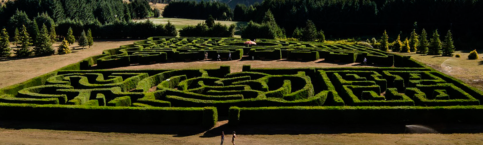 Gira Mágica y Misteriosa: Laberinto Patagonia | Natura